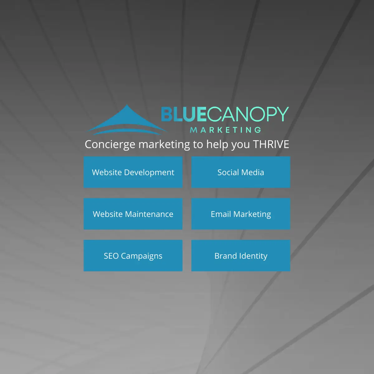 Join Our Team | Blue Canopy Marketing